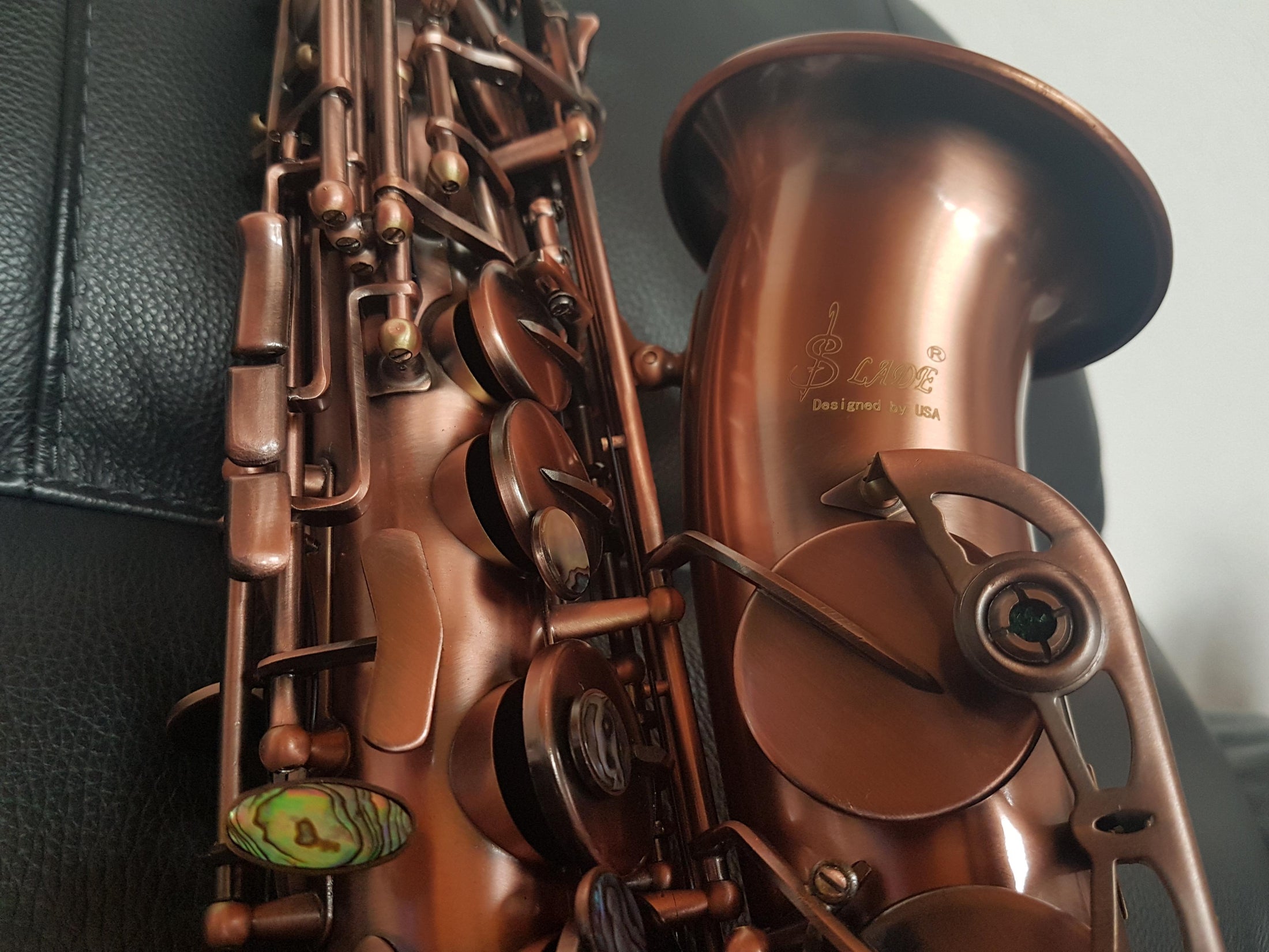 Professional Red Bronze Bend EB E-Flat Alto Saxophone + Gig Bag & Acce ...